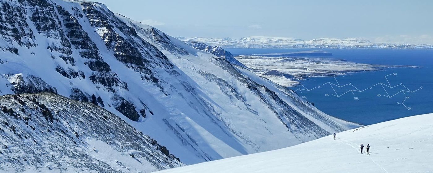 The Natural Healing of Iceland | Primex